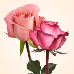 Florero de rosas - FLOREVENT